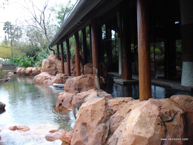 Jiko - The Cooking Place | Disney's Animal Kingdom Lodge Fan Site