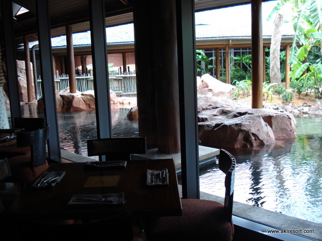 Jiko - The Cooking Place | Disney's Animal Kingdom Lodge Fan Site