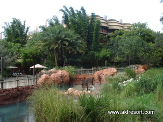 Uzima Springs Pool | Disney's Animal Kingdom Lodge Fan Site