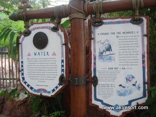 Disney's Animal Kingdom Lodge Unofficial Fan Site