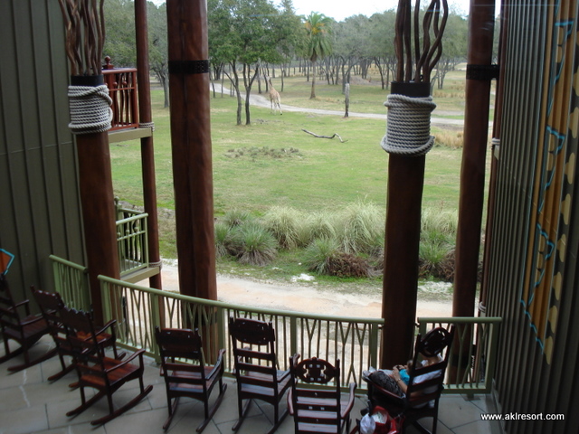 Viewing Spot | Disney's Animal Kingdom Lodge Fan Site